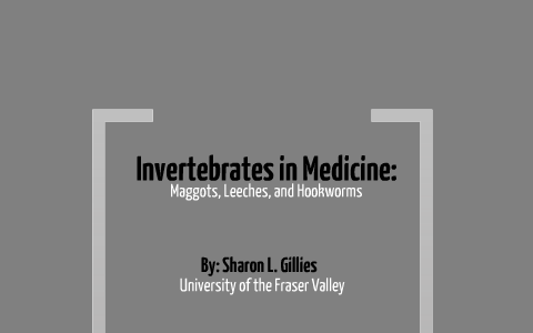 Invertebrates in Medicine by Brittany Supernault on Prezi