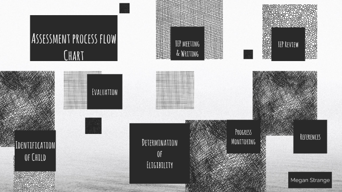 Assessment Process Flow Chart by Megan Strange on Prezi