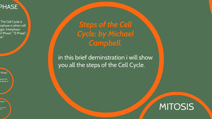 Steps of the Cell Cycle by Michael Campbell on Prezi