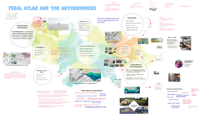 Justice, the Anthropocene, and Feral Atlas by Jesse Bazzul on Prezi