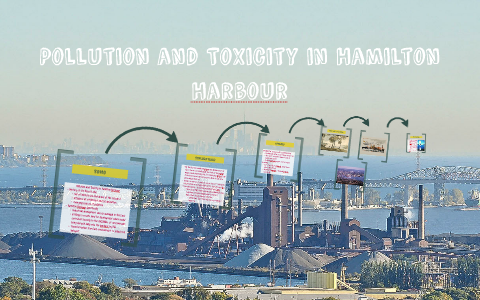 Pollution and Toxicity in Hamilton Harbour by Sara Giglia on Prezi