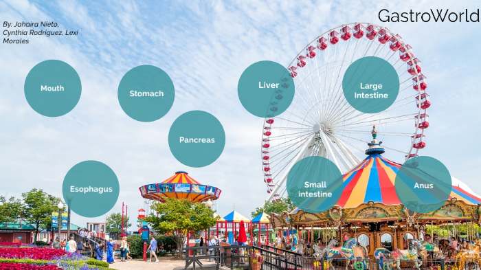 GastroWorld Digestive by Cynthia Rodriguez on Prezi