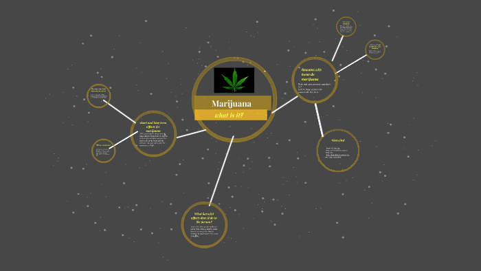 Marijuina by Cody Ashby on Prezi