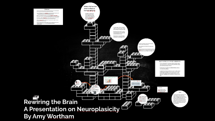 Rewiring the Brain by on Prezi