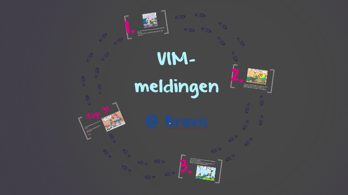 VIM-meldingen by Yadi Hagenaars on Prezi