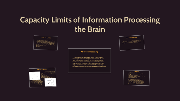Capacity Limits of Information Processing the Brain by Davin Owen on Prezi