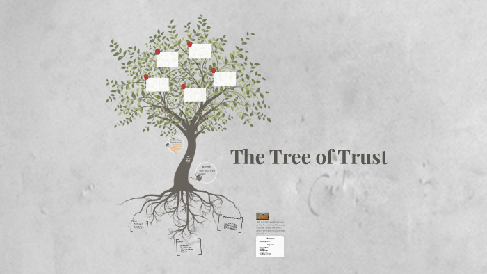 The Tree of Trust by John Price on Prezi