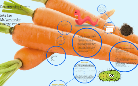 Carrot Decomposition Lab by Jake Lee on Prezi