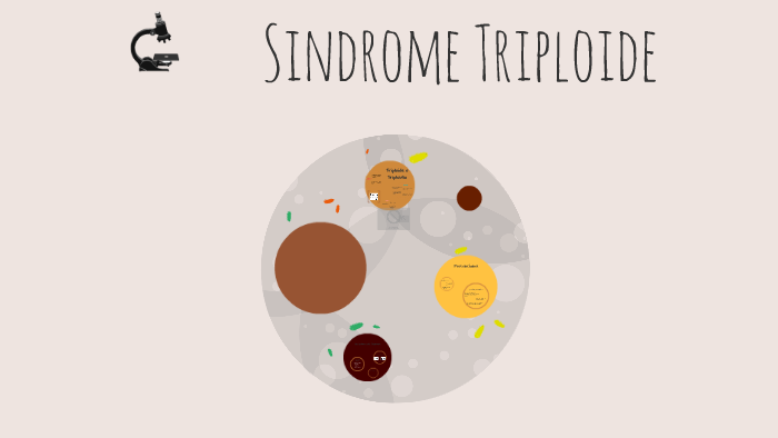 Sindrome Triploide by Diego Fernando Benitez on Prezi