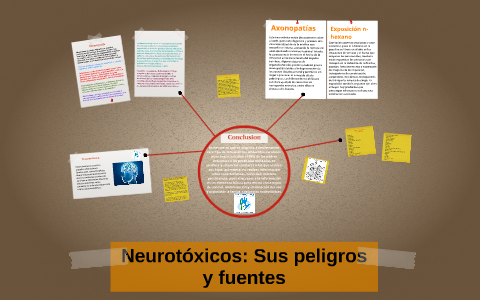 Neurotóxicos: Sus peligros y fuentes. by Departamento Educativo ...