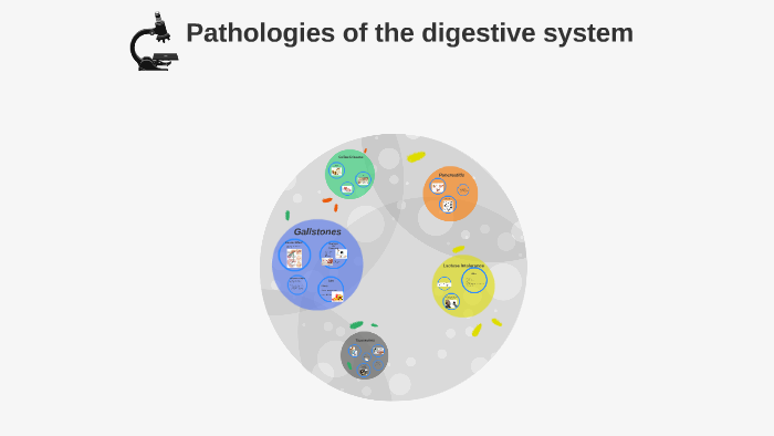 Pathologies of the digestive system by bobby joe on Prezi