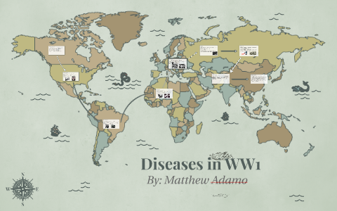 Diseases in WW1 by matthew adamo on Prezi