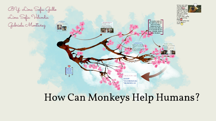 How Can Monkeys Help Humans? by Gabriela Montañez on Prezi
