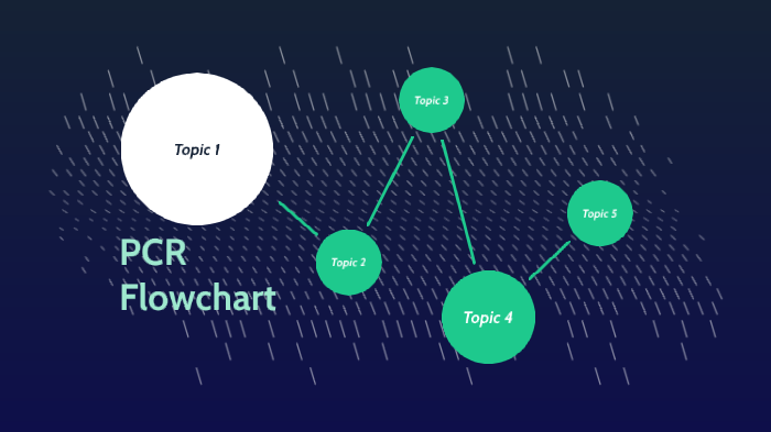 PCR Flowchart by Emma Brown on Prezi