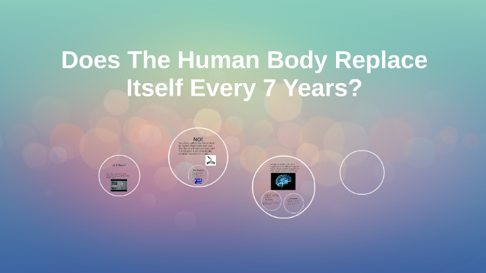 Does The Human Body Replace Itself Every 7 Years? by Kian Mitchell