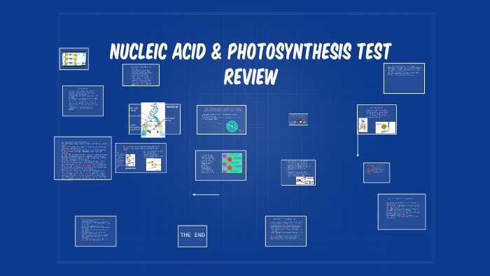 nucleic acids & protein synthesis test review by bethany engel on Prezi