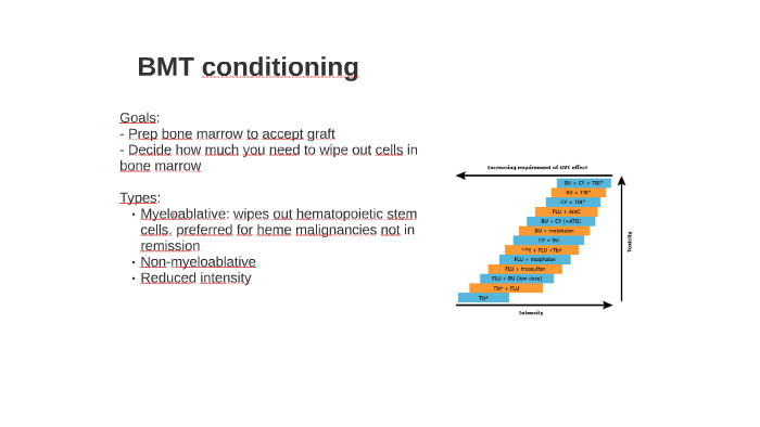 BMT conditioning by Alex Power-Hays on Prezi