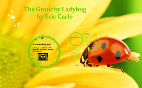 The Grouchy Ladybug by Eric Carle by Phyllis Kinsey on Prezi