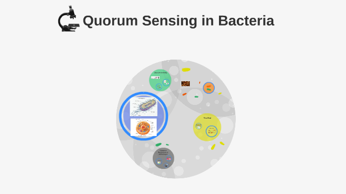 Quorum Sensing in Bacteria by on Prezi