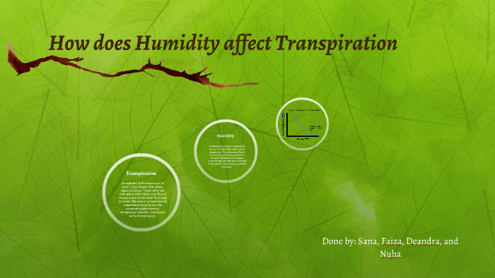 How does humidity affect transpiration by Biology Project on Prezi