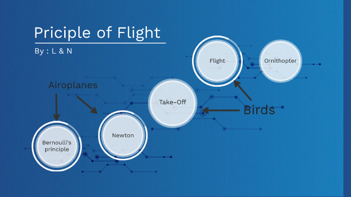 Principle of Flight by nithul peter on Prezi
