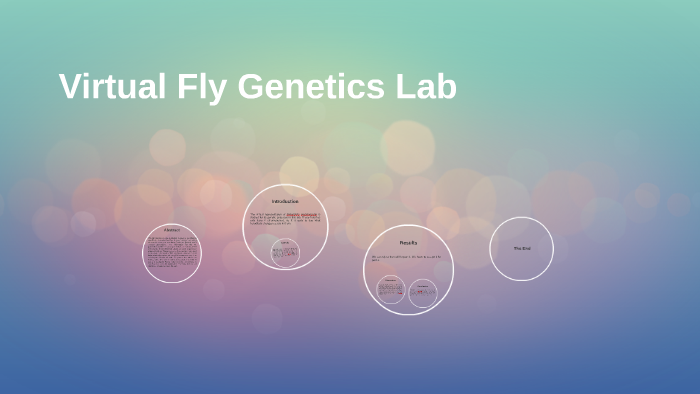 Virtual Fly Genetics Lab by Victoria Pannell on Prezi