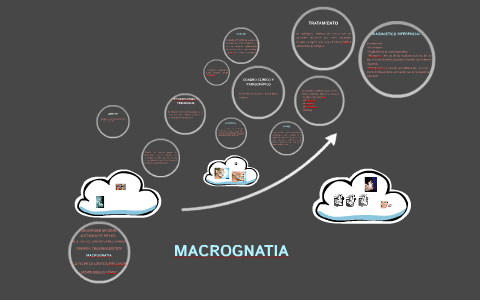 MACROGNATIA by on Prezi