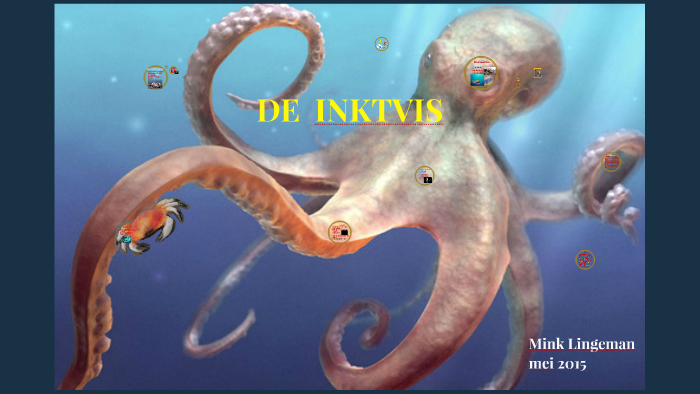 de inktvis by Mink Lingeman on Prezi