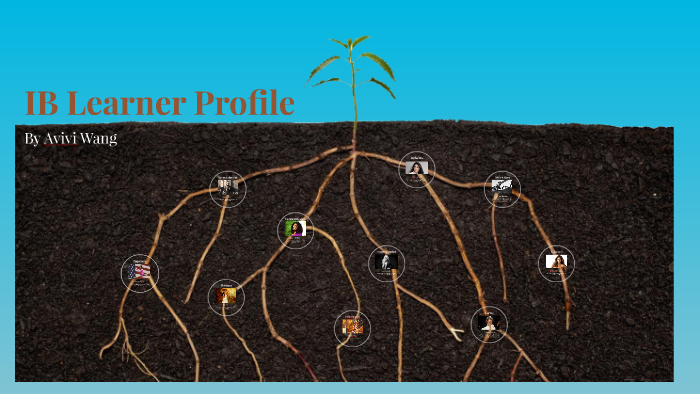 IB Learner Profile Traits by Avivi W.