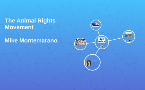 The Animal Rights Movement by Mike Montemarano