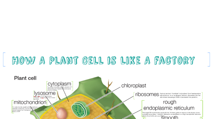 Cell Analogy - Factory by Mariela Fragoso on Prezi