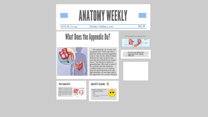 ANATOMY WEEKLY by Colin Scanlon on Prezi