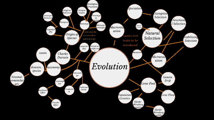 Evolution Concept Map by Quinn Robertson on Prezi