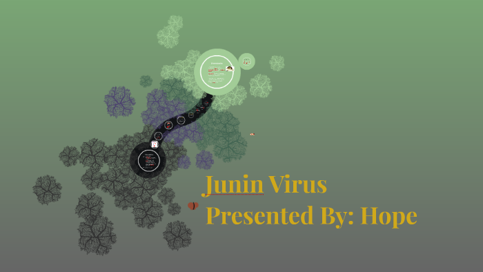Junin Virus by Hope Trude on Prezi