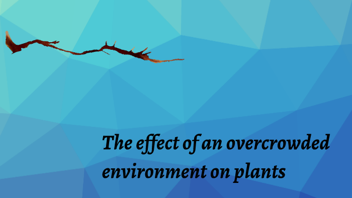 The effect of an overcrowded environment on plants by Karla Raygoza on ...