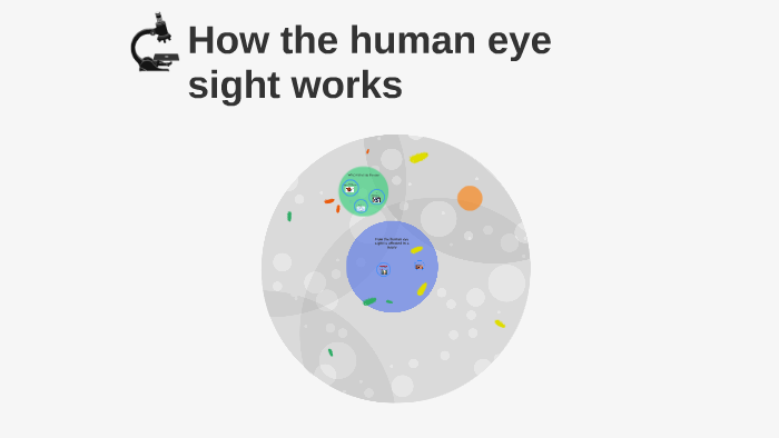How the human eye sight works by José Contreras on Prezi