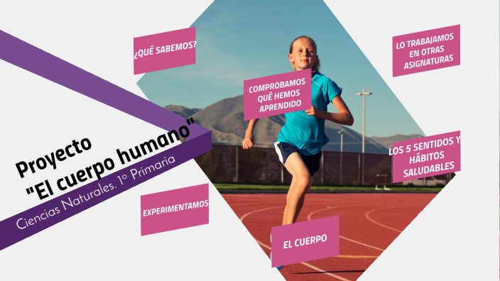 Proyecto el cuerpo humano 1º Primaria by Raquel Sevilla on Prezi
