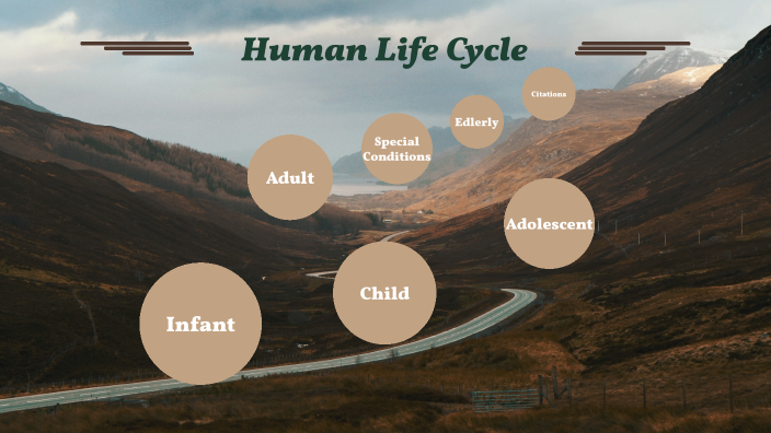 Human Life Cycle by Mariah Jacks on Prezi
