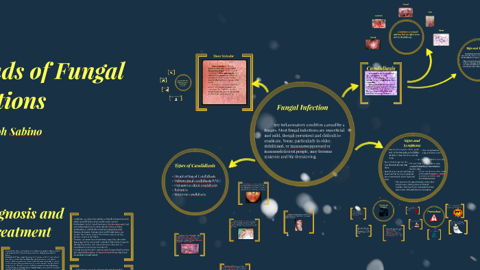 Examples of Fungal Infections by Andre Eulalio on Prezi