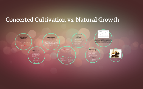 Concerted Cultivation by Teresa Morrison on Prezi