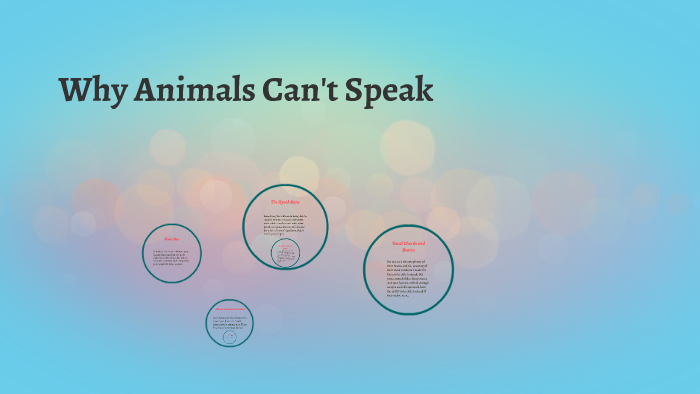 why animals can't speak by Olivia Crowley on Prezi