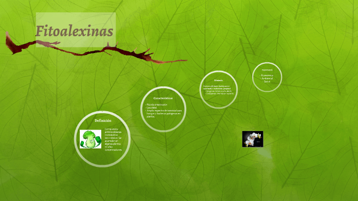 Fitoalexinas by Juan Ordonez on Prezi