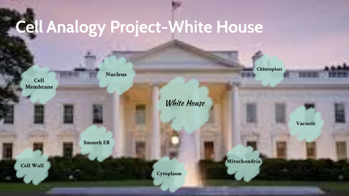 Cell Analogy Project-White House by Devin Nickerson on Prezi