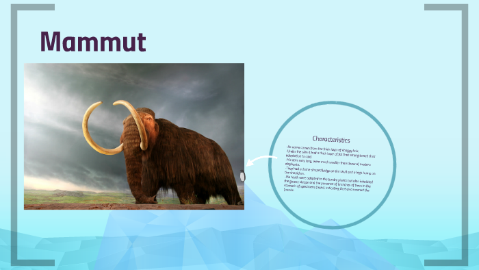 Mammoth by on Prezi