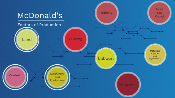 McDonald's Factors of Production by Markus Ticknovich on Prezi