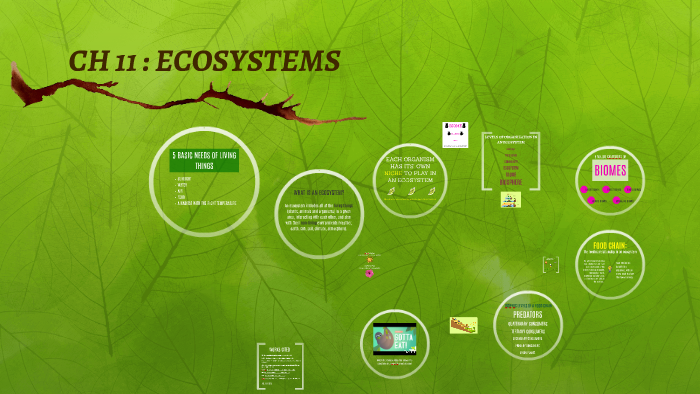 CH 11 : ECOSYSTEMS by Alexis Garcia on Prezi