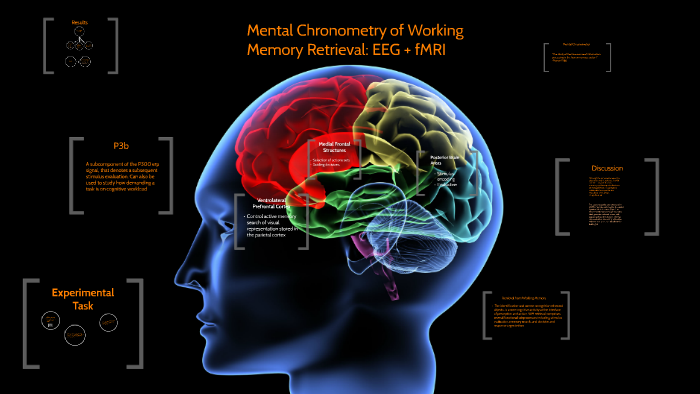 Mental Chronometry of Working Memory Retrieval by Óscar Picallo Trillo ...