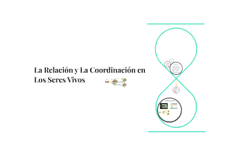 la relacion y la coordinacion en los seres vivos by sara garcia on Prezi