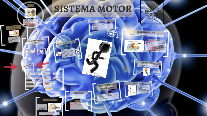 SISTEMA MOTOR by julieta quevedo on Prezi