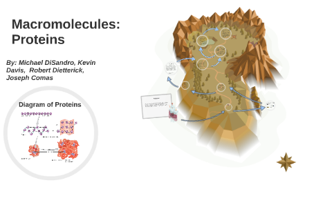 Macromolecules: by Kevin Davis on Prezi